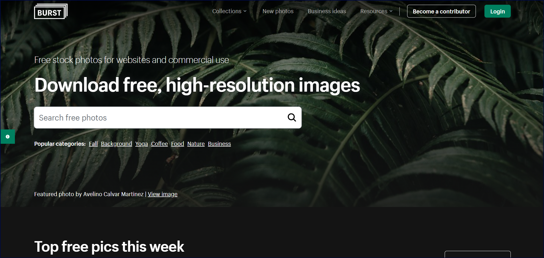 11 Best Sources of Stock Images for Your Website [FREE + Paid]